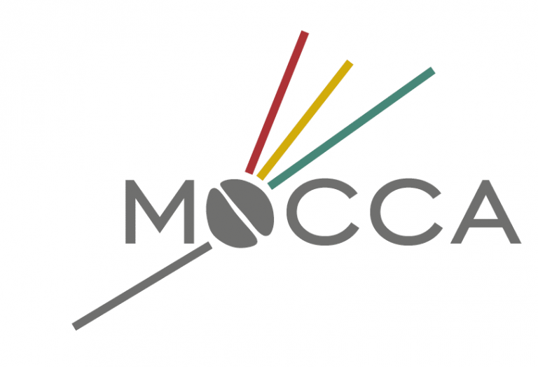 Prof. Stefan Wabnitz – MOCCA